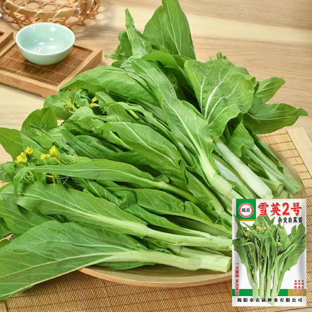 Xueying No. 2 Choy Sum Seeds - Long Harvest Period, Disease Resistant ...